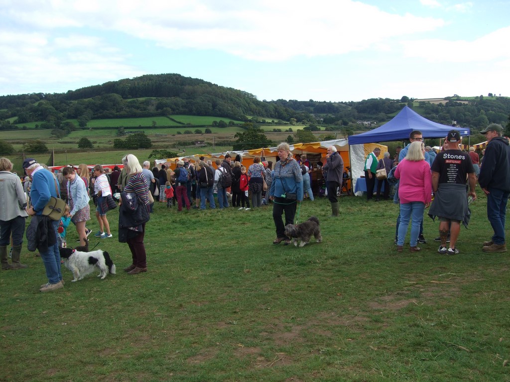 Colyford Goose Fayre 2024 42